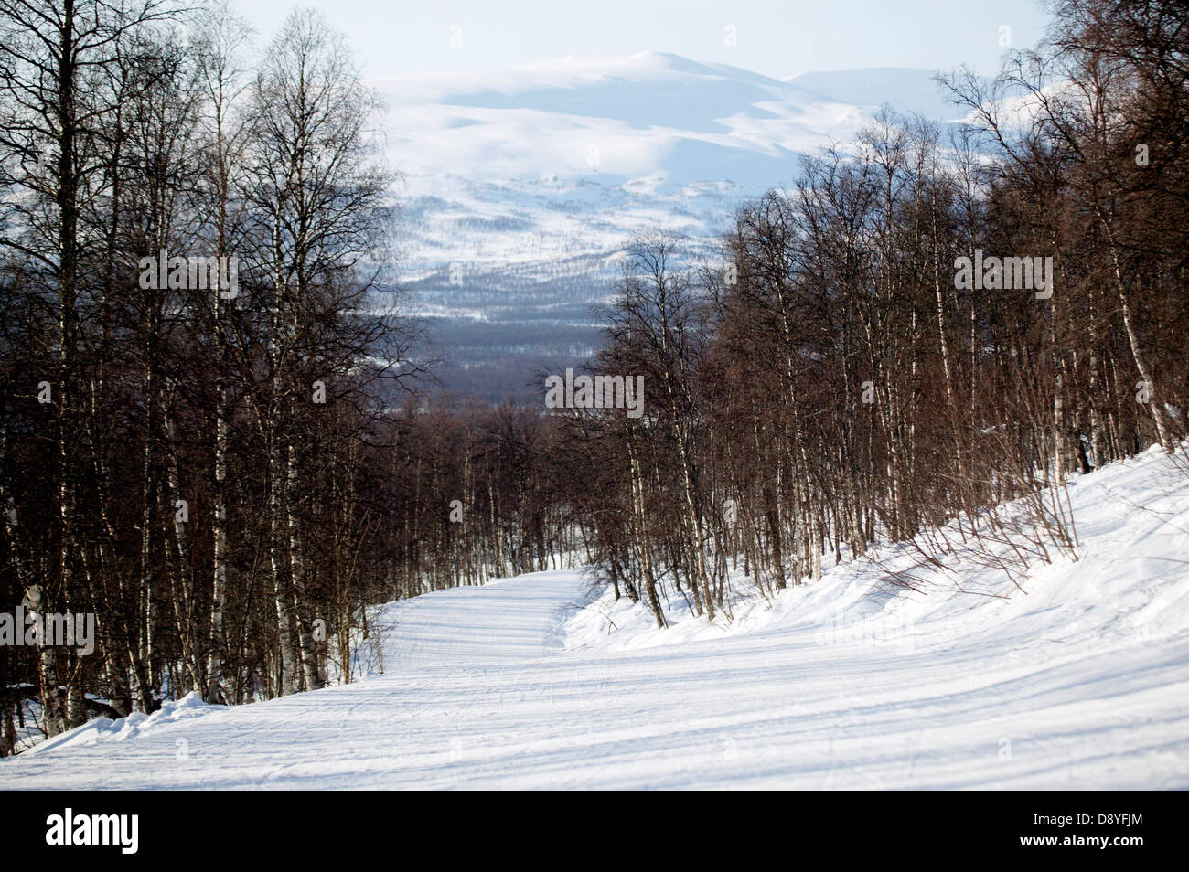 Ski slope, Hemavan, Sweden Stock Photo - Alamy