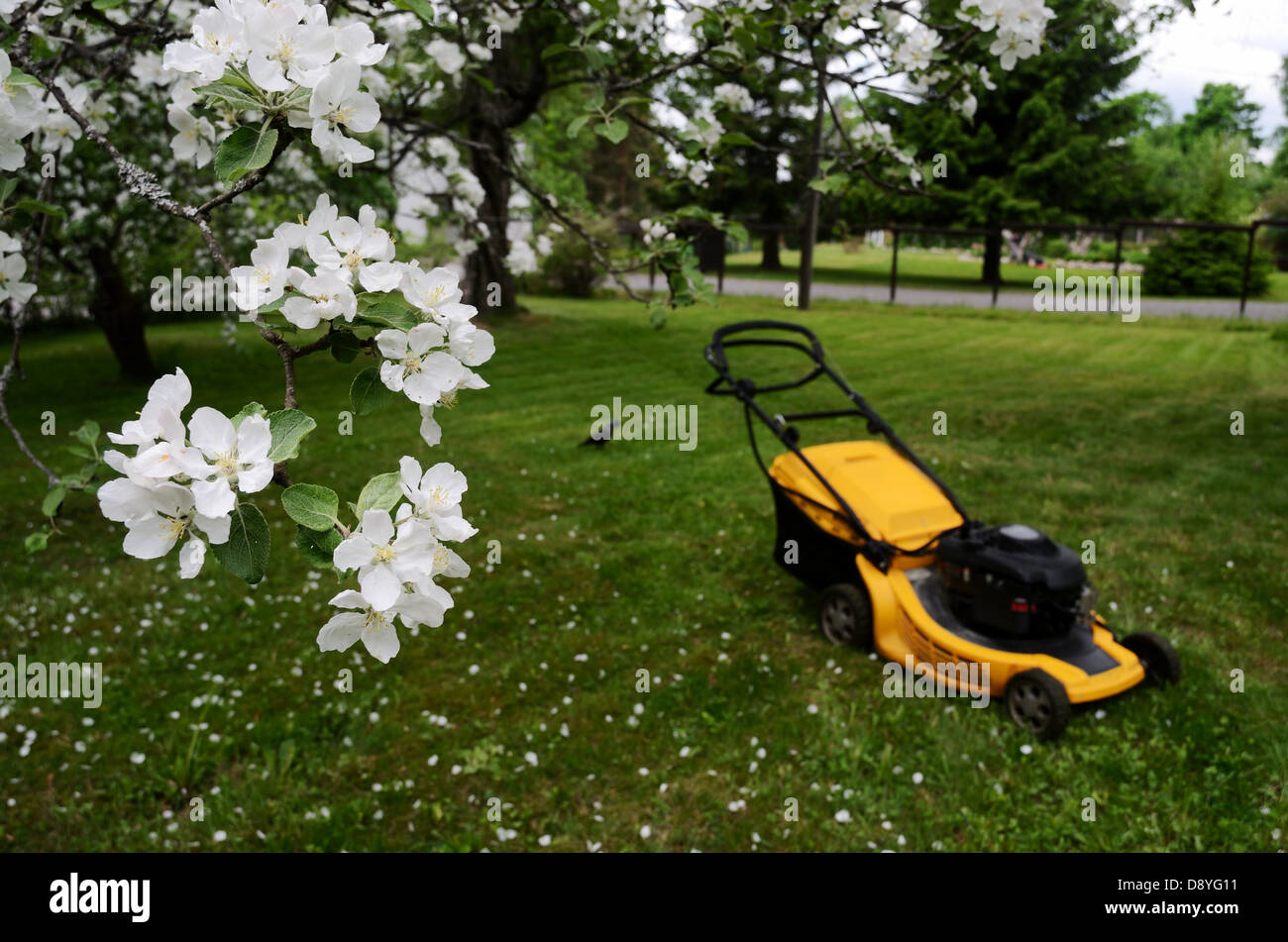 Trees and mower hi-res stock photography and images - Alamy