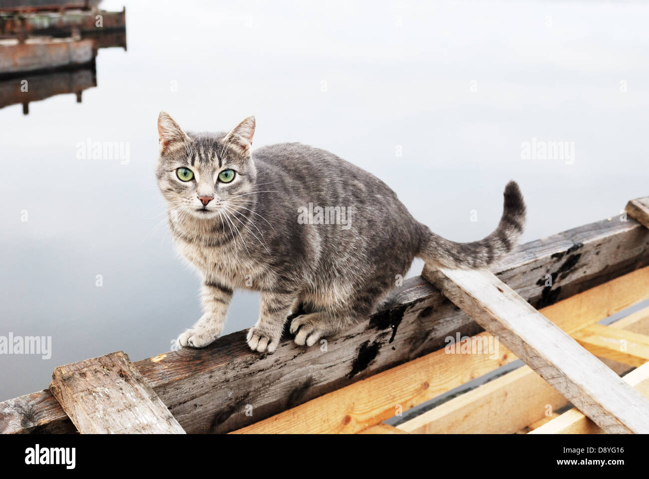Dock and water hi-res stock photography and images - Alamy