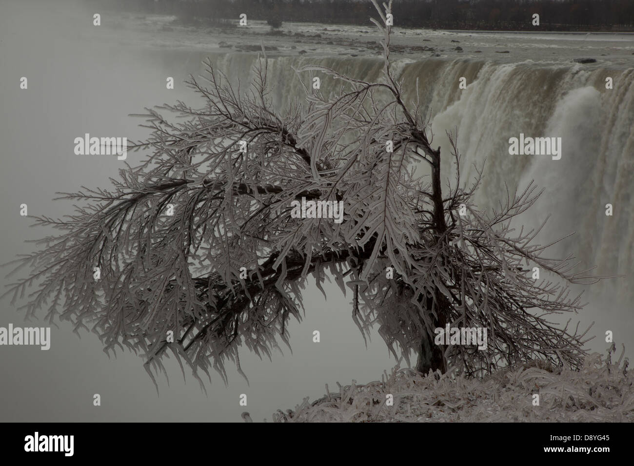 Ice covered trees, Niagara falls , Canada Stock Photo - Alamy