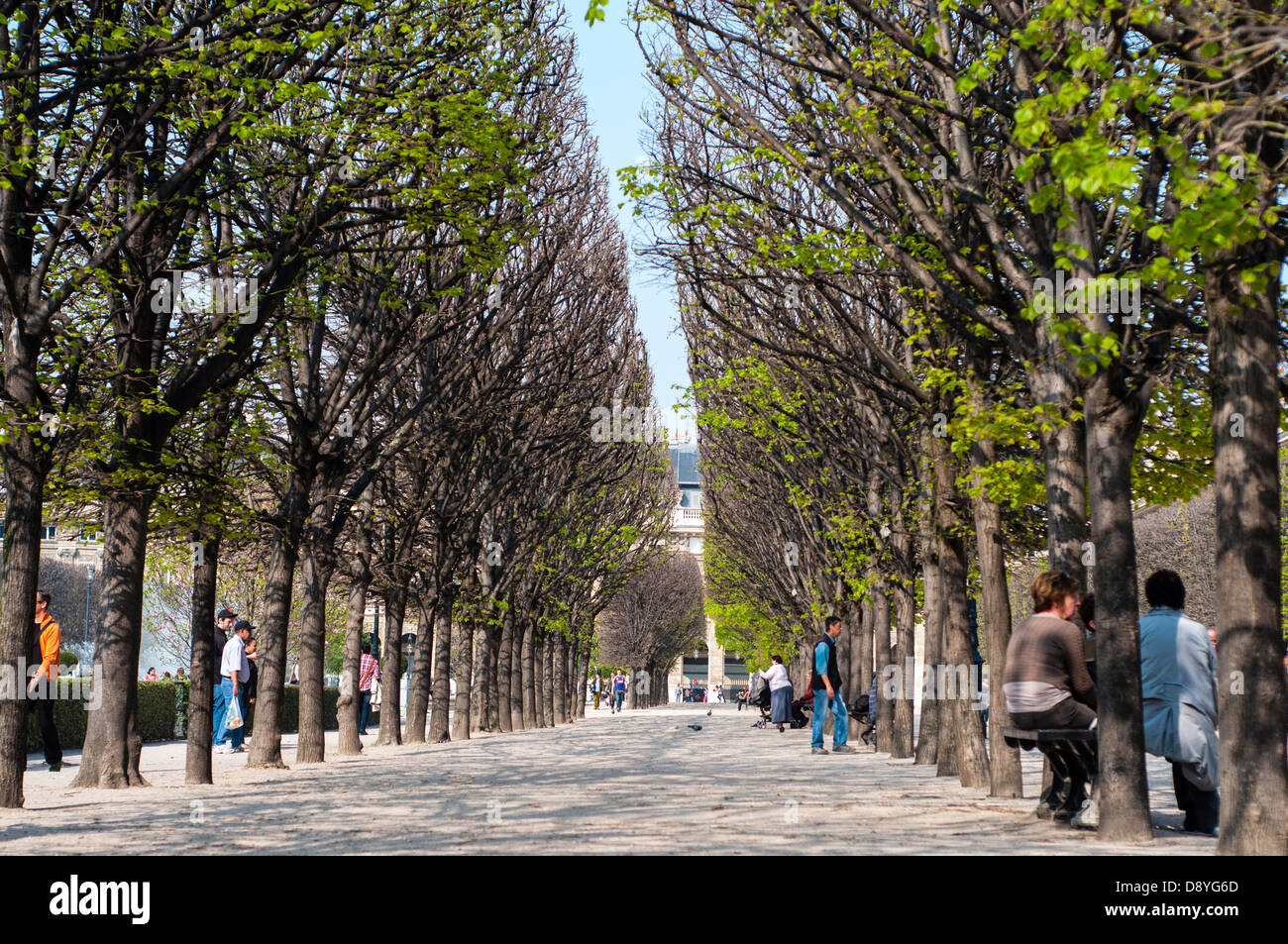 Palais royale paris gardens hi-res stock photography and images - Alamy