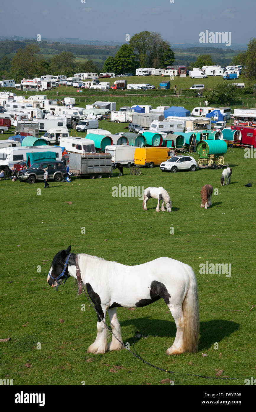 Appleby horse fair gypsies hi-res stock photography and images - Alamy