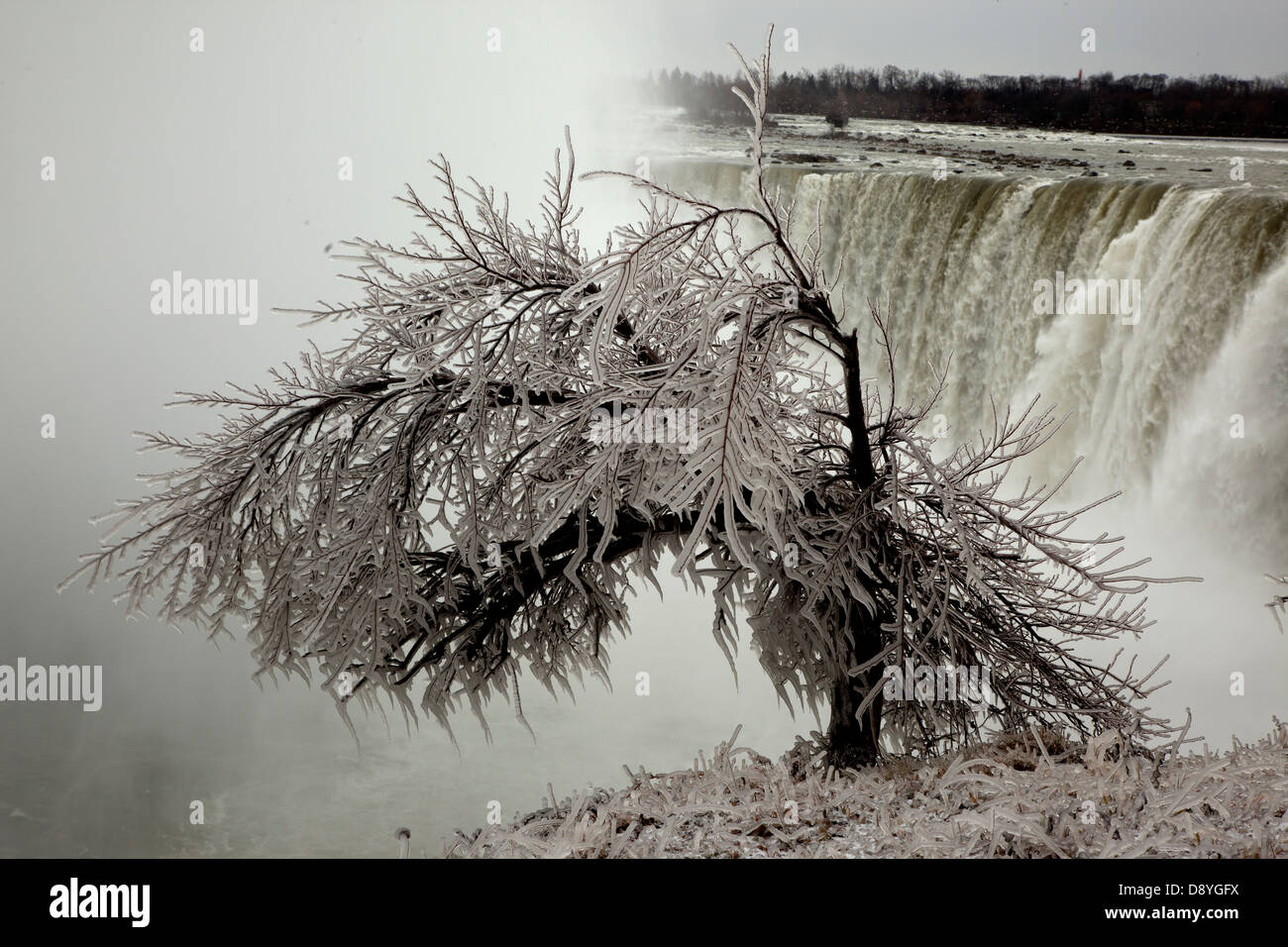 Ice covered trees, Niagara falls , Canada Stock Photo - Alamy