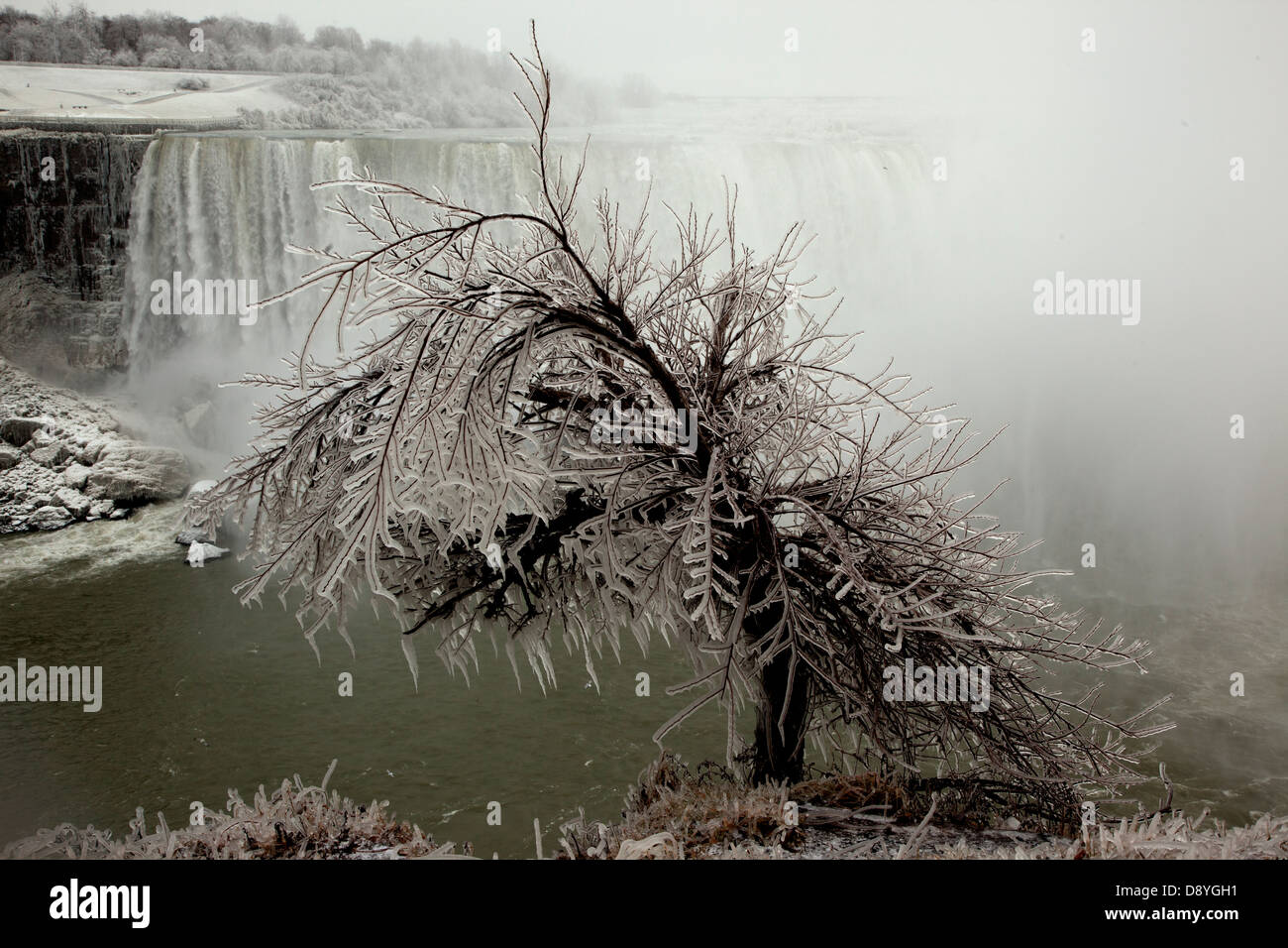 Ice covered trees, Niagara falls , Canada Stock Photo - Alamy