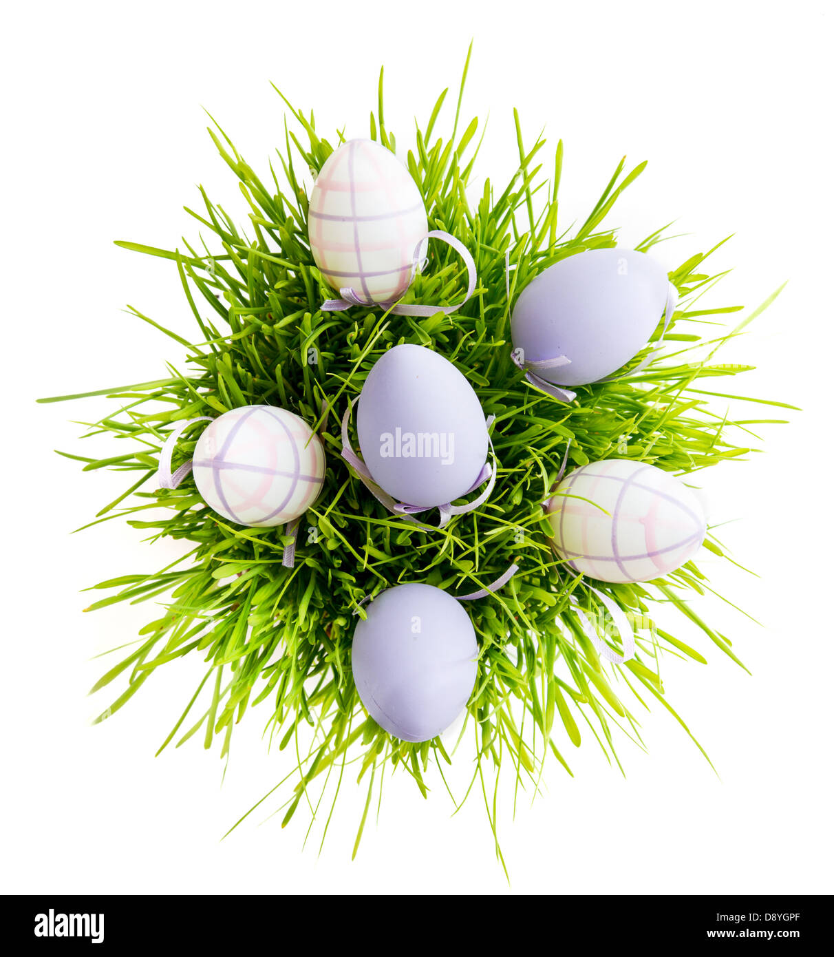 Easter eggs in grass isolated on white background Stock Photo - Alamy