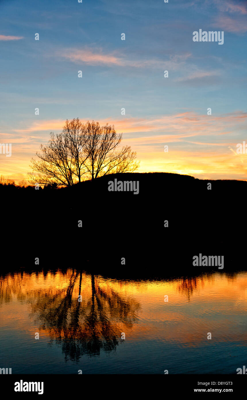Silhouette and reflected hi-res stock photography and images - Alamy
