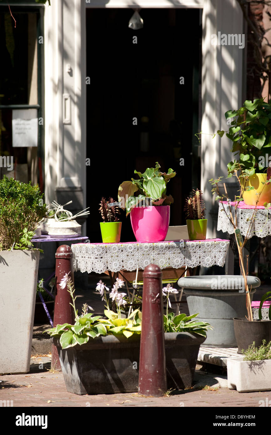 Bright pot hi-res stock photography and images - Alamy