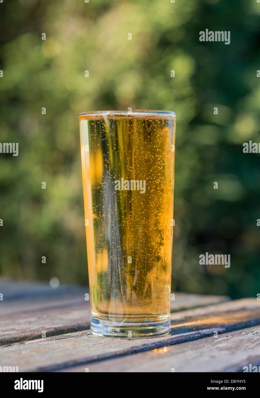 pint of cider on beer garden table Stock Photo - Alamy