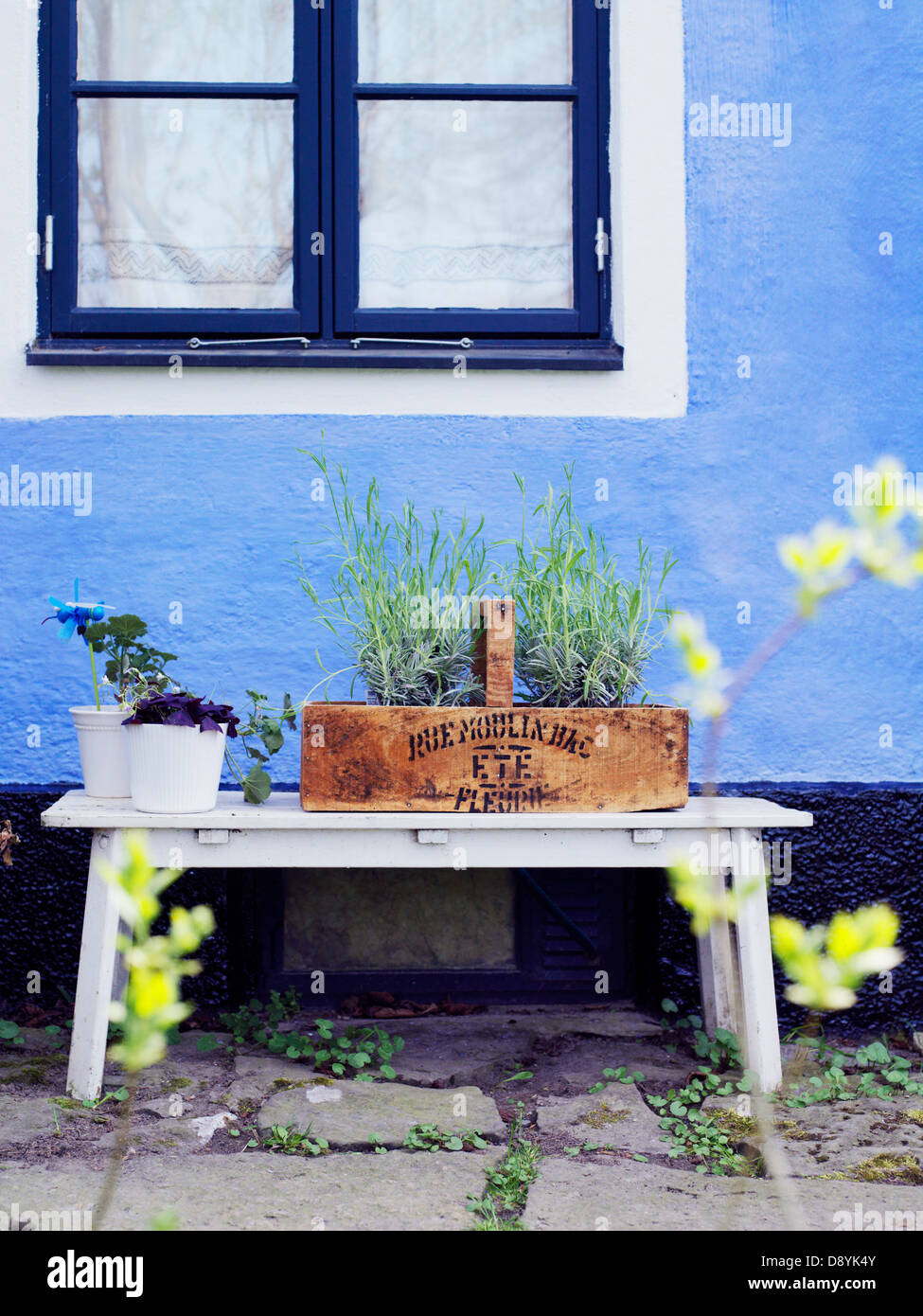 Bench in front of house hi-res stock photography and images - Alamy