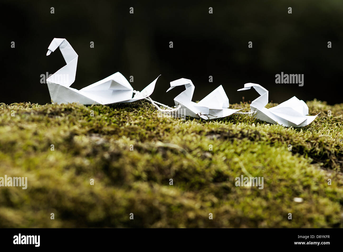 How To Make A Paper Swan Prison Break