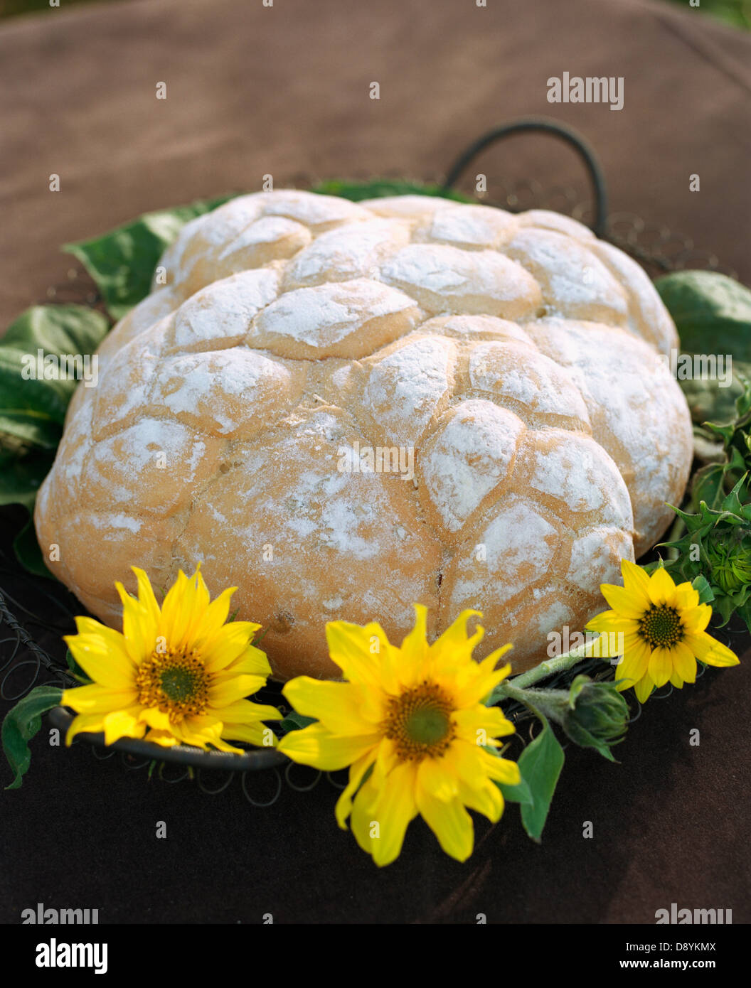 Close up of fresh home made bread with sunflowers Stock Photo - Alamy