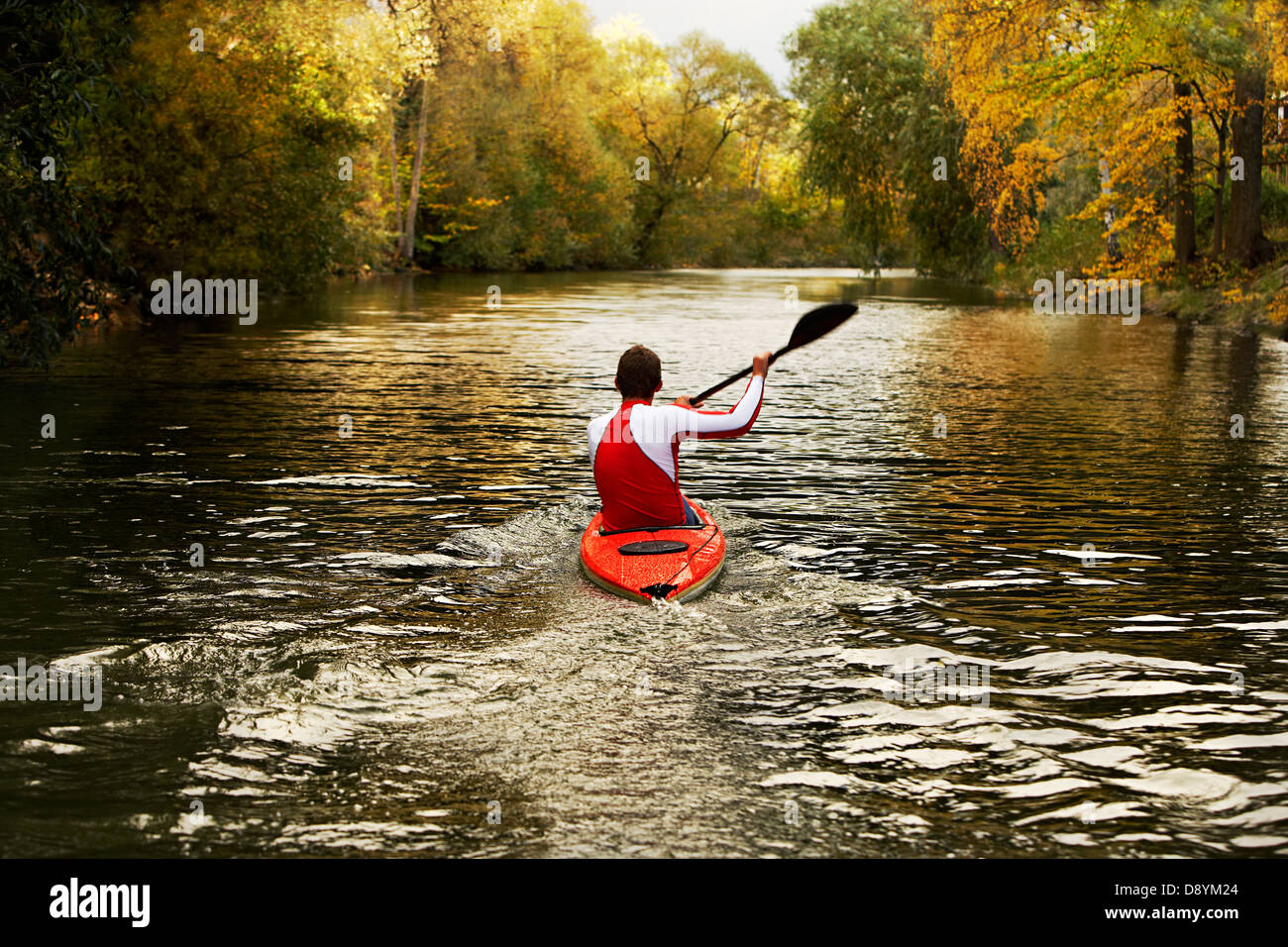 A man canoeing, Sweden Stock Photo - Alamy