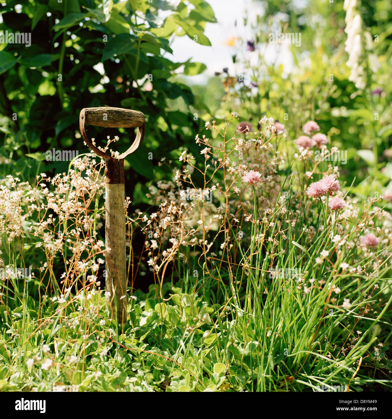 Spade garden hi-res stock photography and images - Alamy