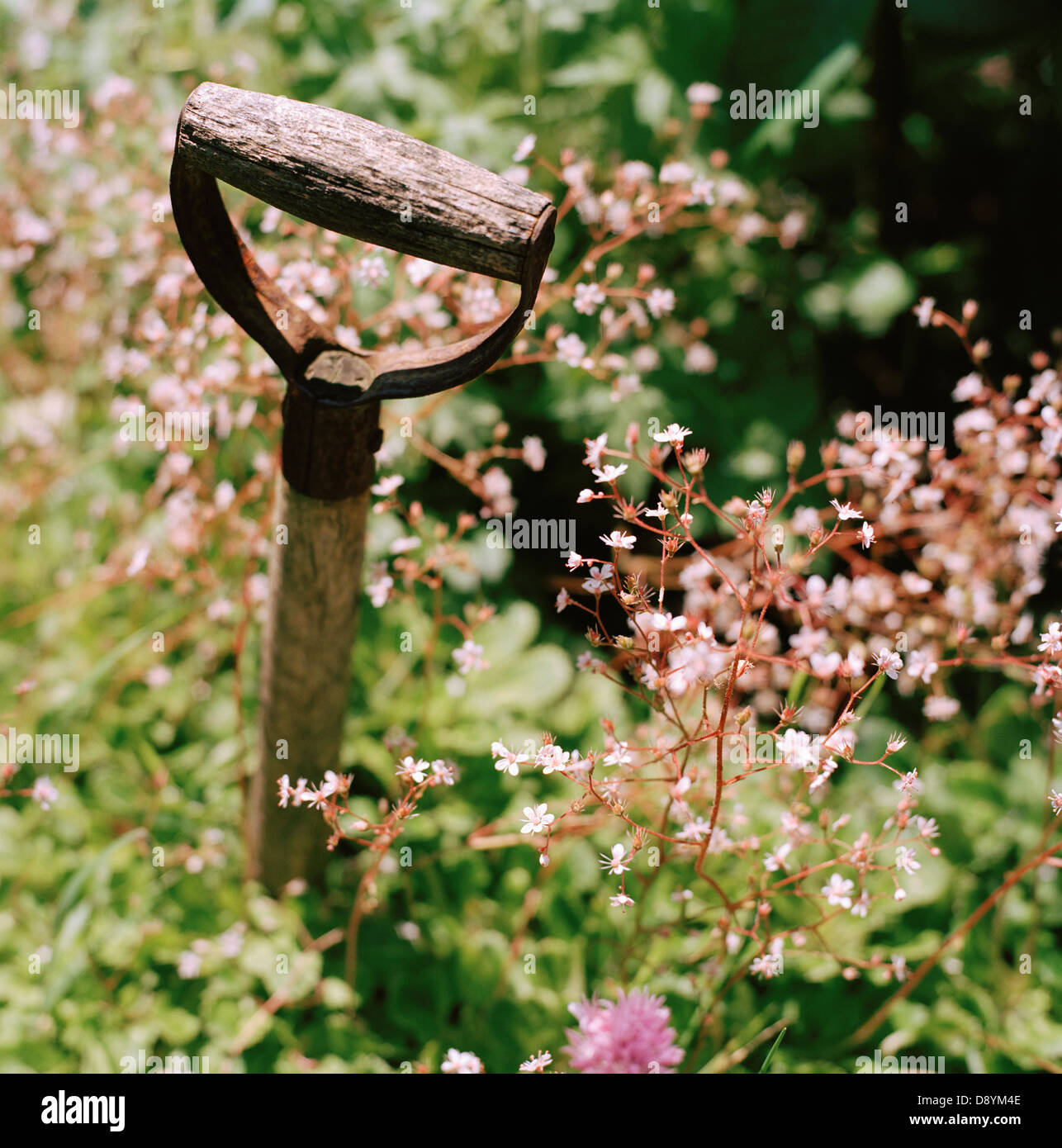 A spade in a garden, Sweden Stock Photo - Alamy