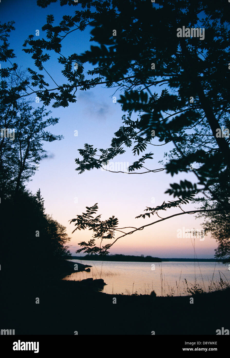 Silhouette greenery hi-res stock photography and images - Alamy