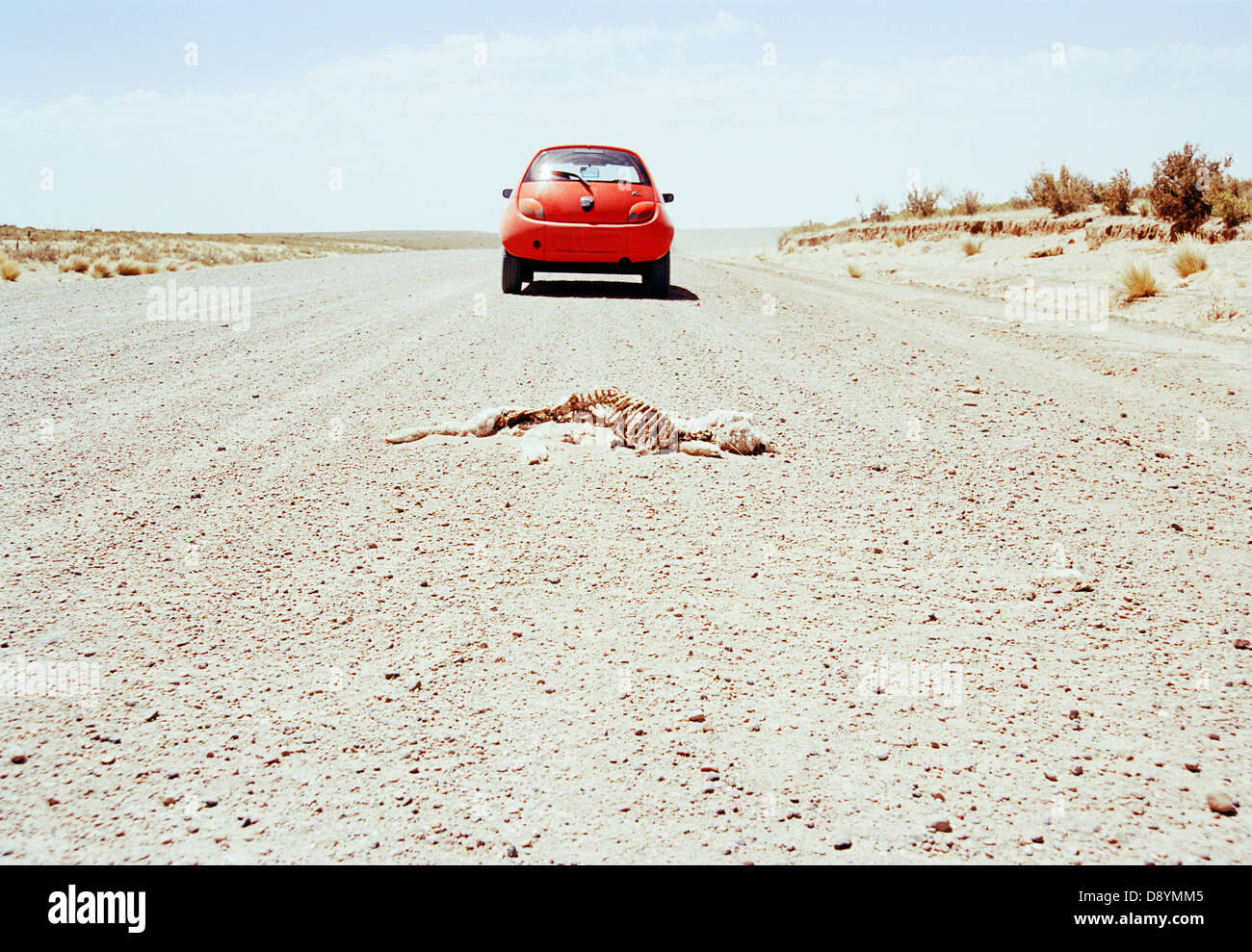 A skeleton on a road, Argentina Stock Photo - Alamy