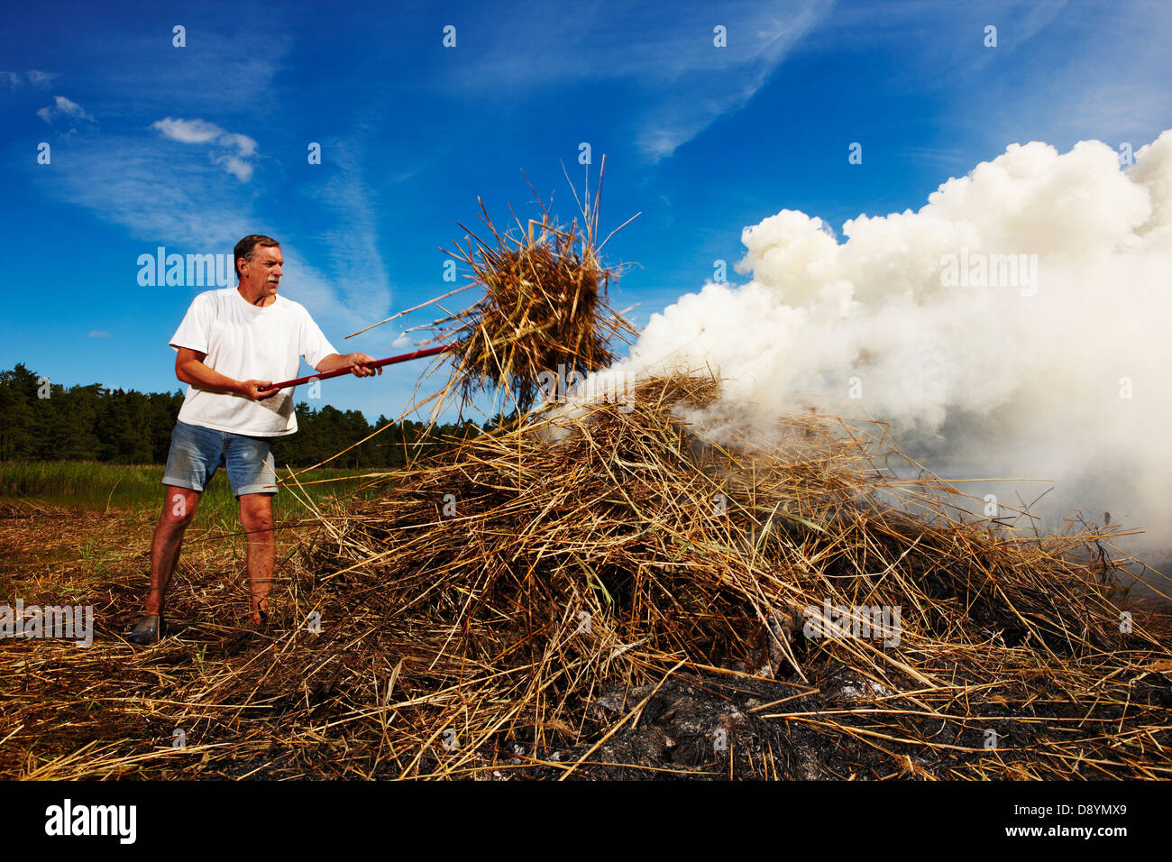 Burning reed hi-res stock photography and images - Alamy