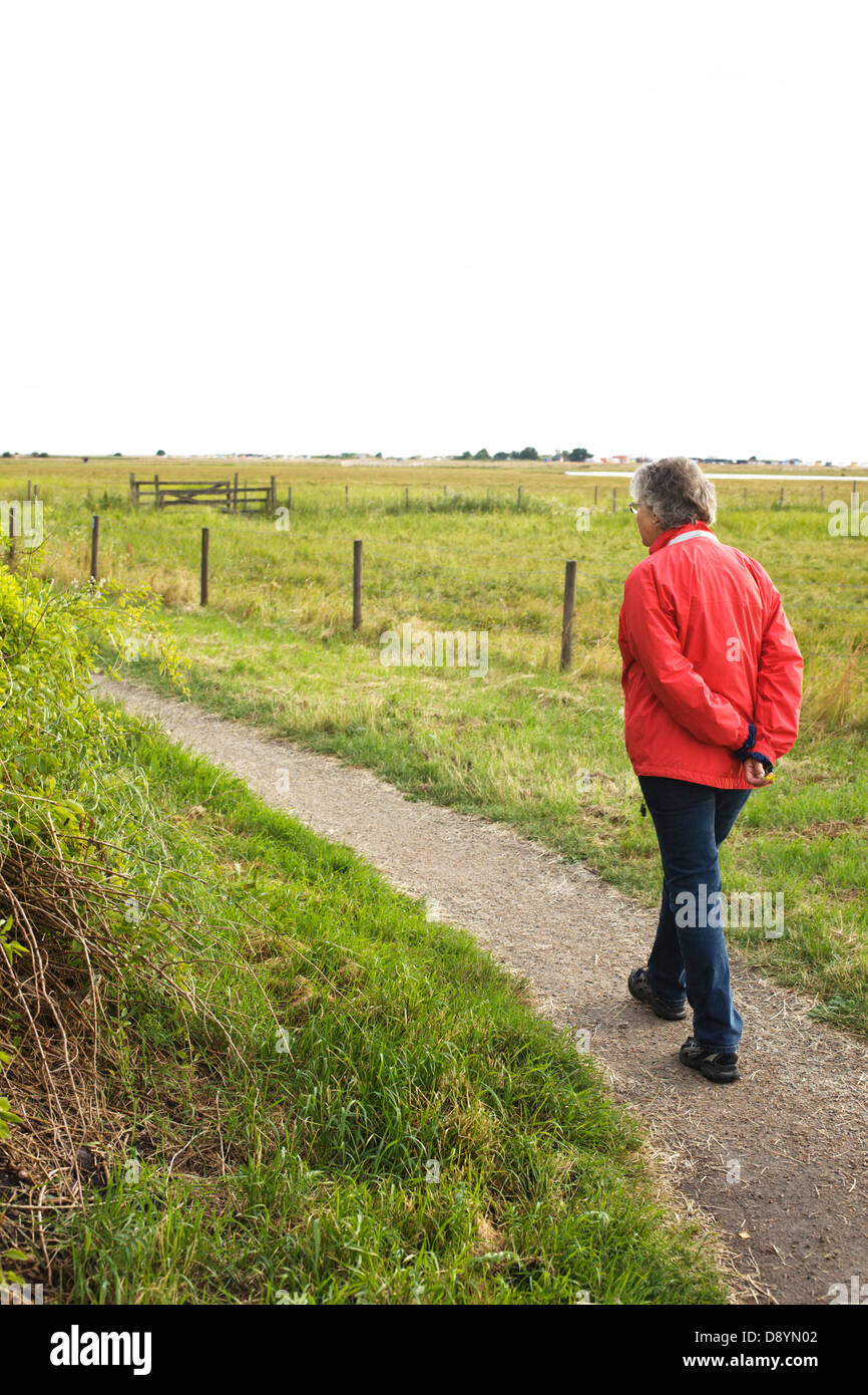 Walking at field hi-res stock photography and images - Alamy