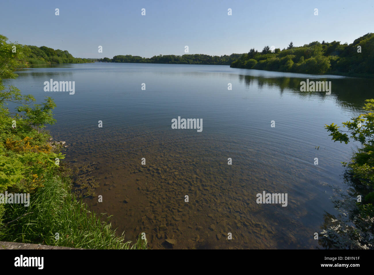 Ardingly Reservoir in West Sussex on a summers day in 2013 Stock Photo ...