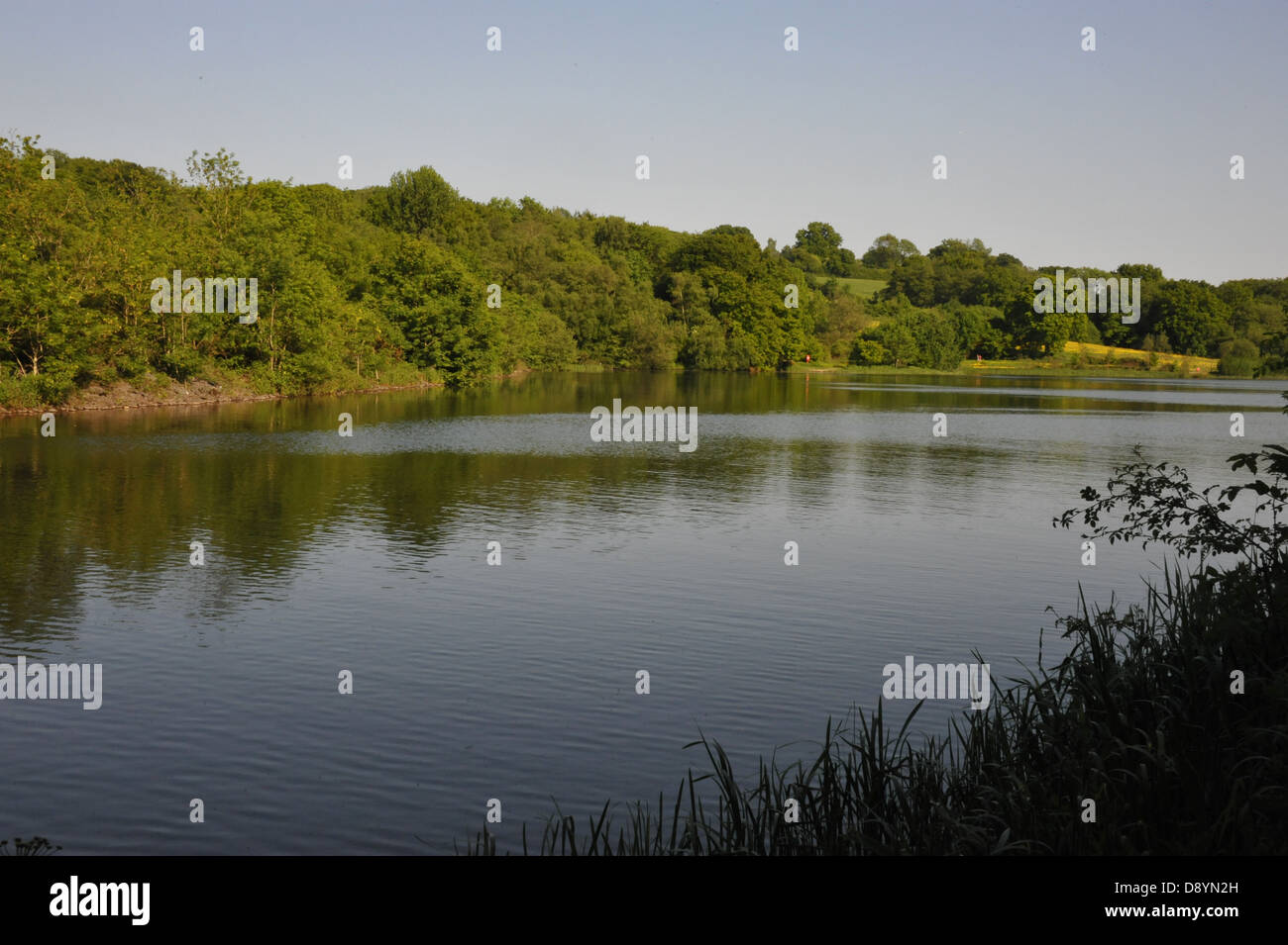 Ardingly Reservoir in West Sussex on a summers day in 2013 Stock Photo ...