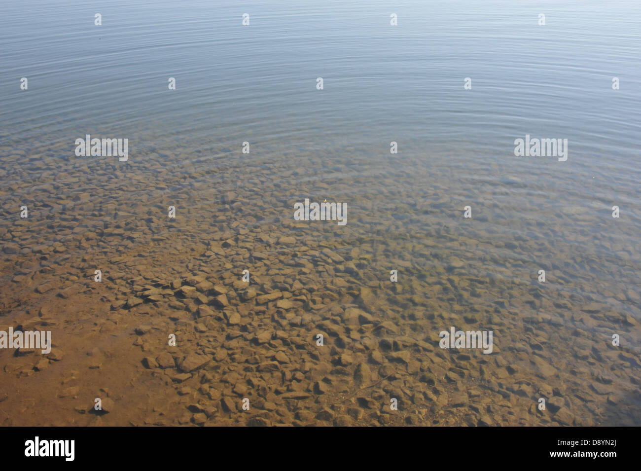 Ardingly Reservoir in West Sussex on a summers day in 2013 Stock Photo ...