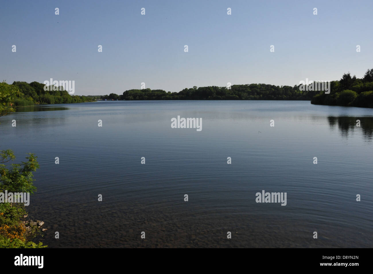 Ardingly Reservoir West Sussex High Resolution Stock Photography and ...