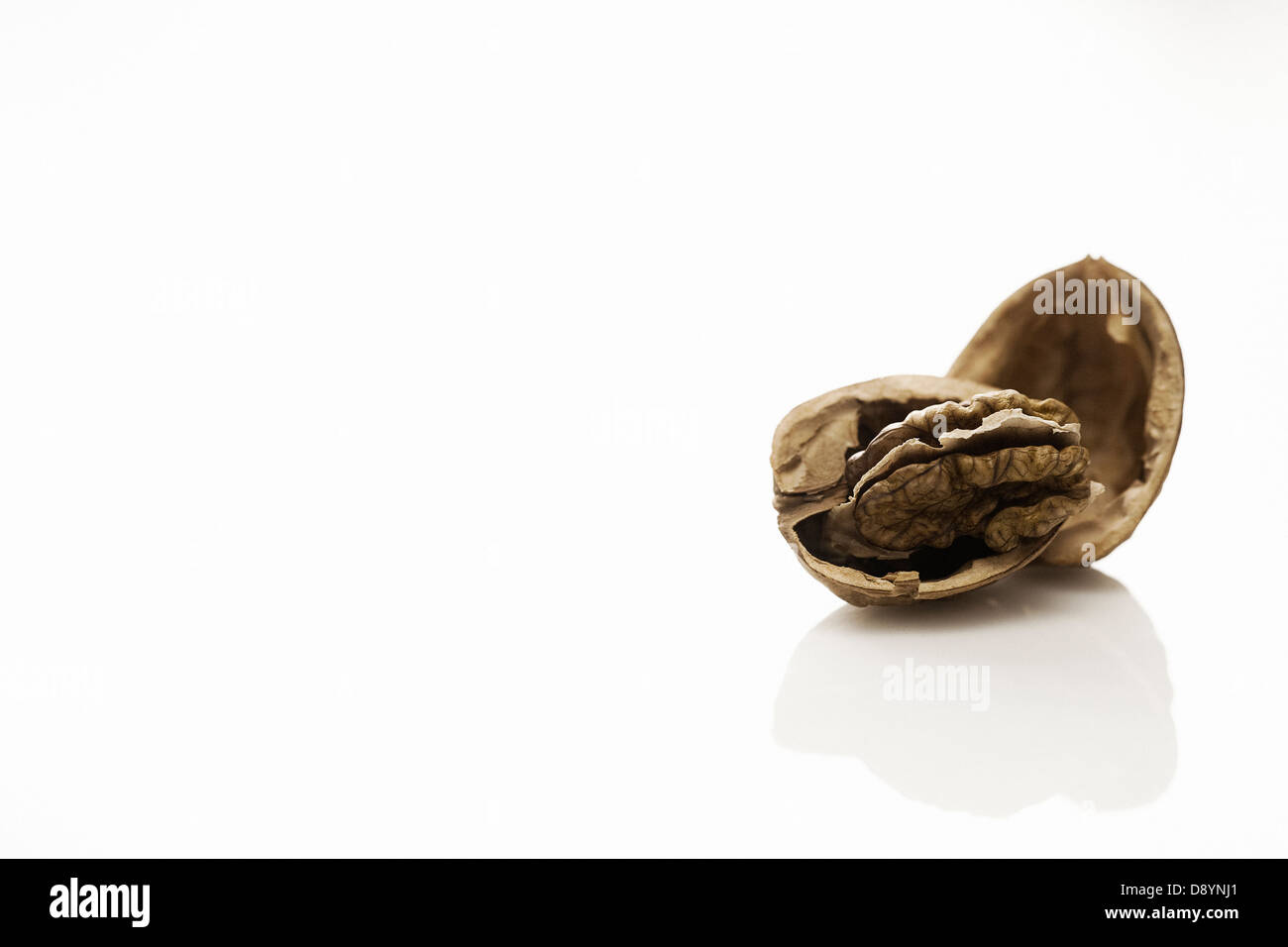Peeling a walnut hi-res stock photography and images - Alamy