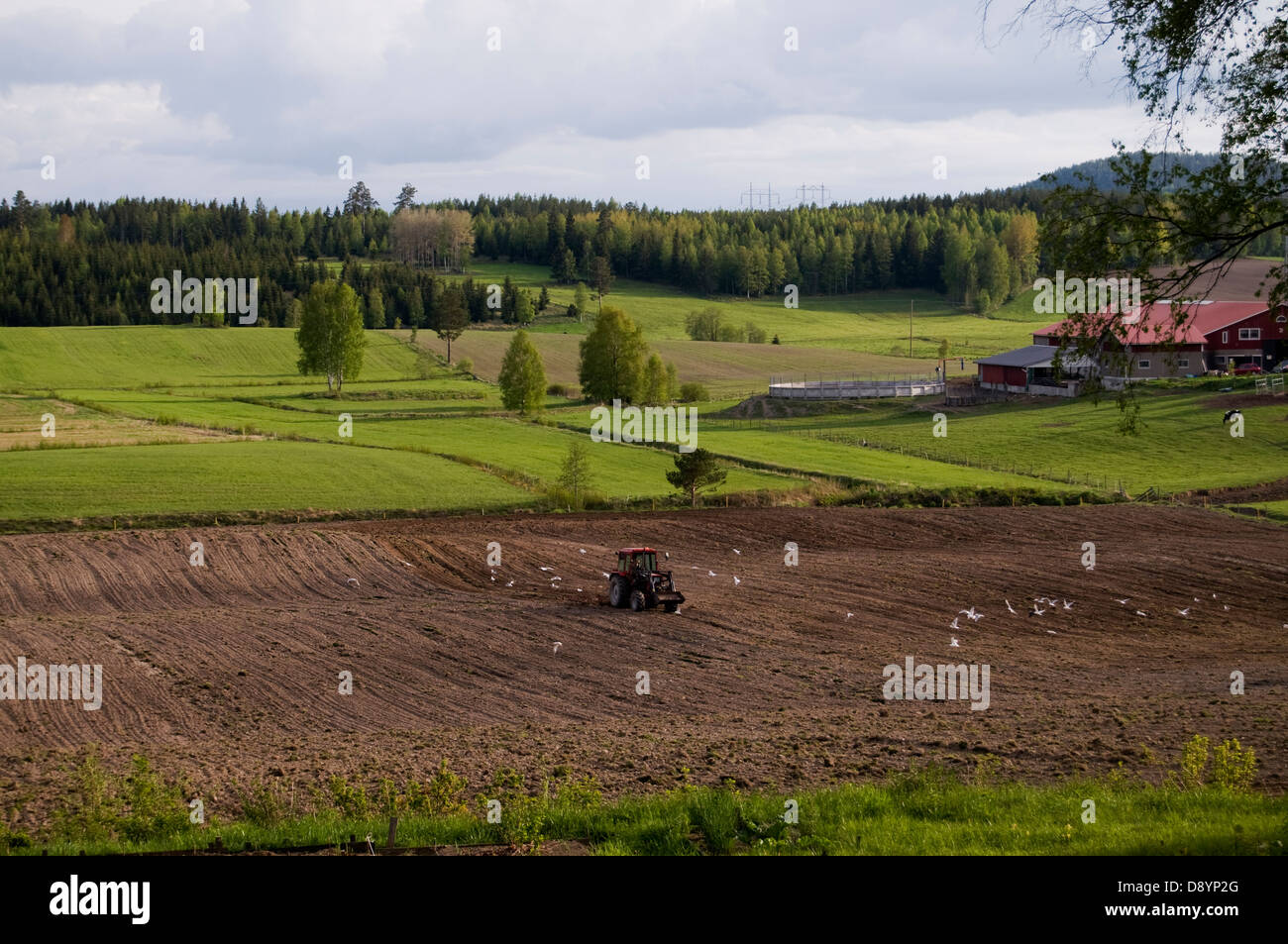 Rural landscape with field Stock Photo - Alamy