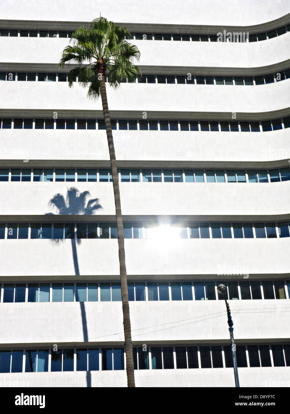 Building palm tree hi-res stock photography and images - Alamy