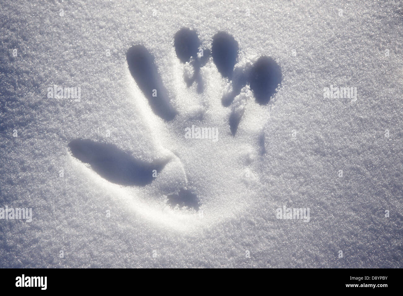 Hand print on snow Stock Photo - Alamy