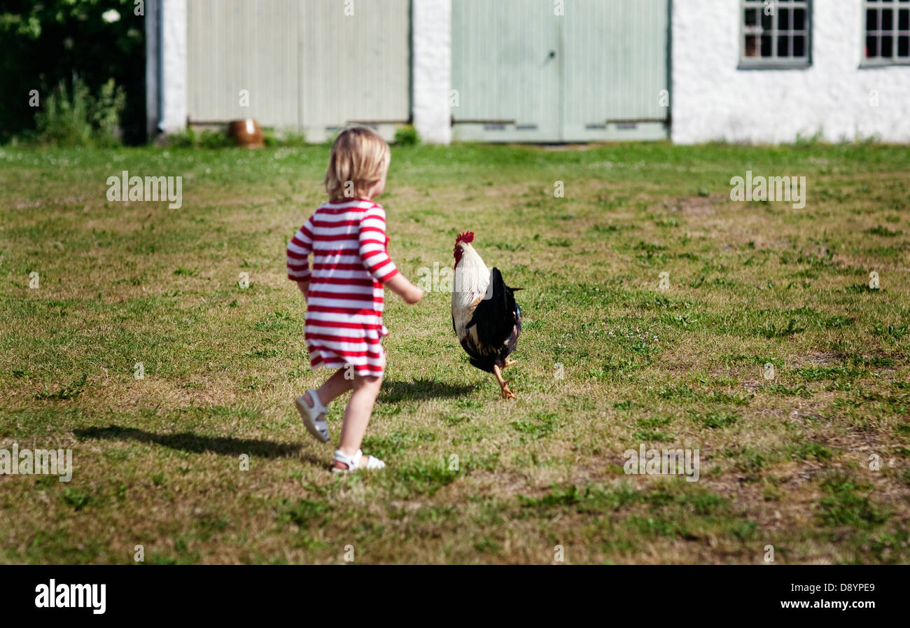 Girl running behind hen Stock Photo - Alamy