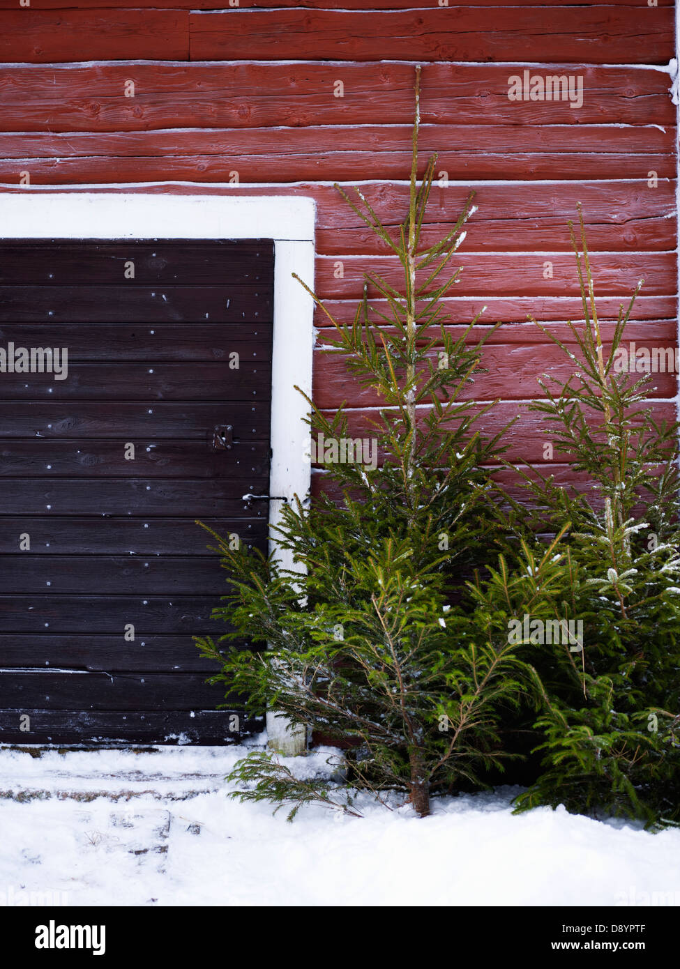 The tree outside hi-res stock photography and images - Alamy