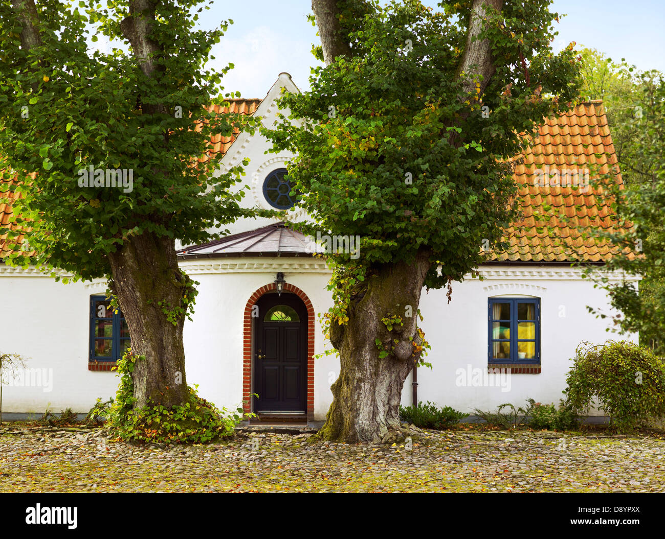Two trees in front of a house Stock Photo - Alamy