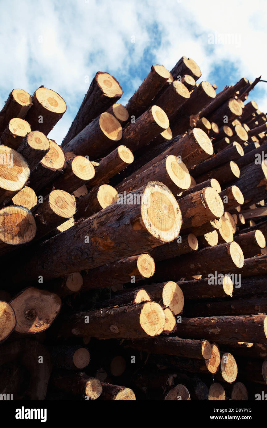 Stack of lumber Stock Photo - Alamy