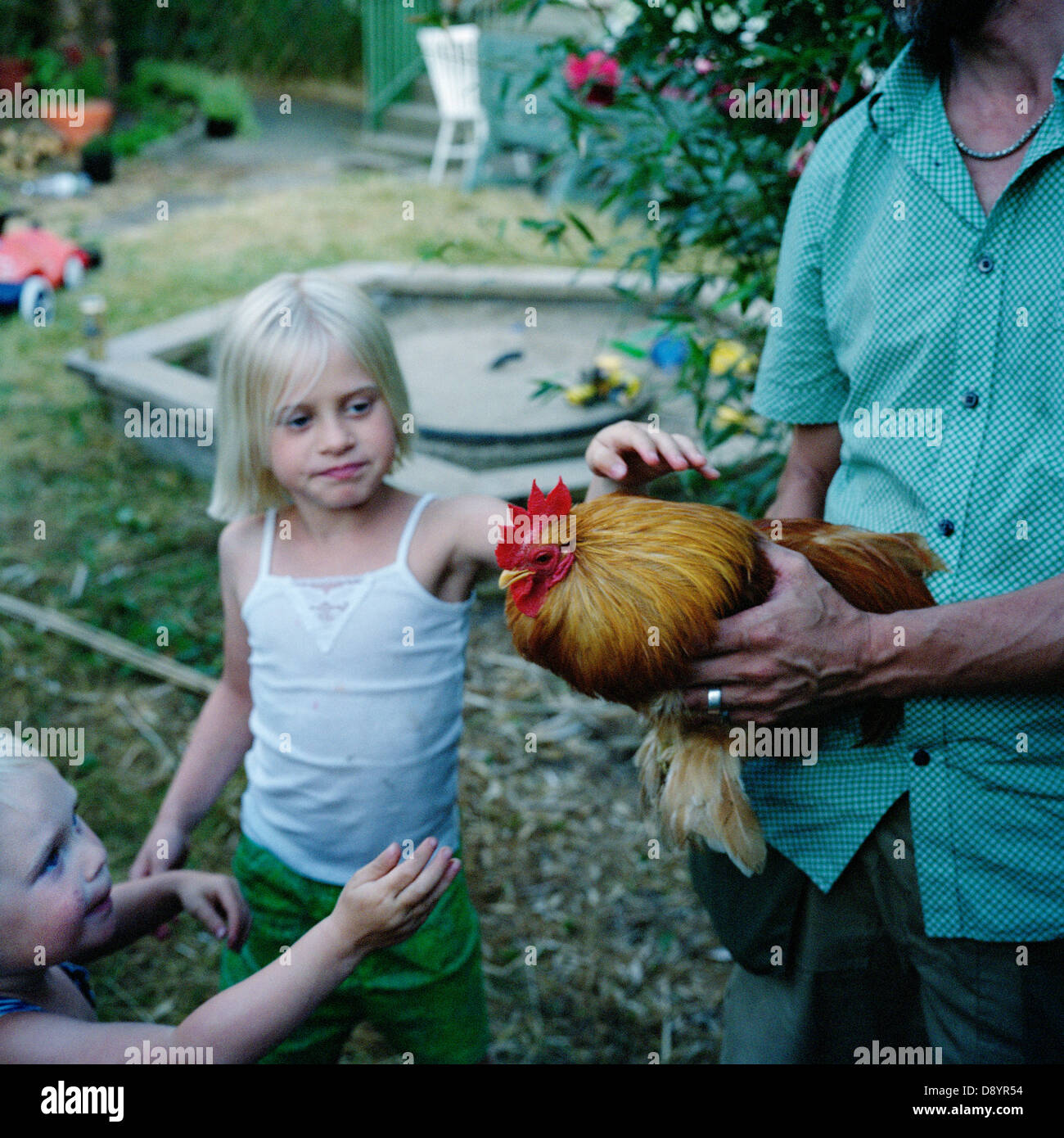 Man holding rooster, children standing beside Stock Photo - Alamy