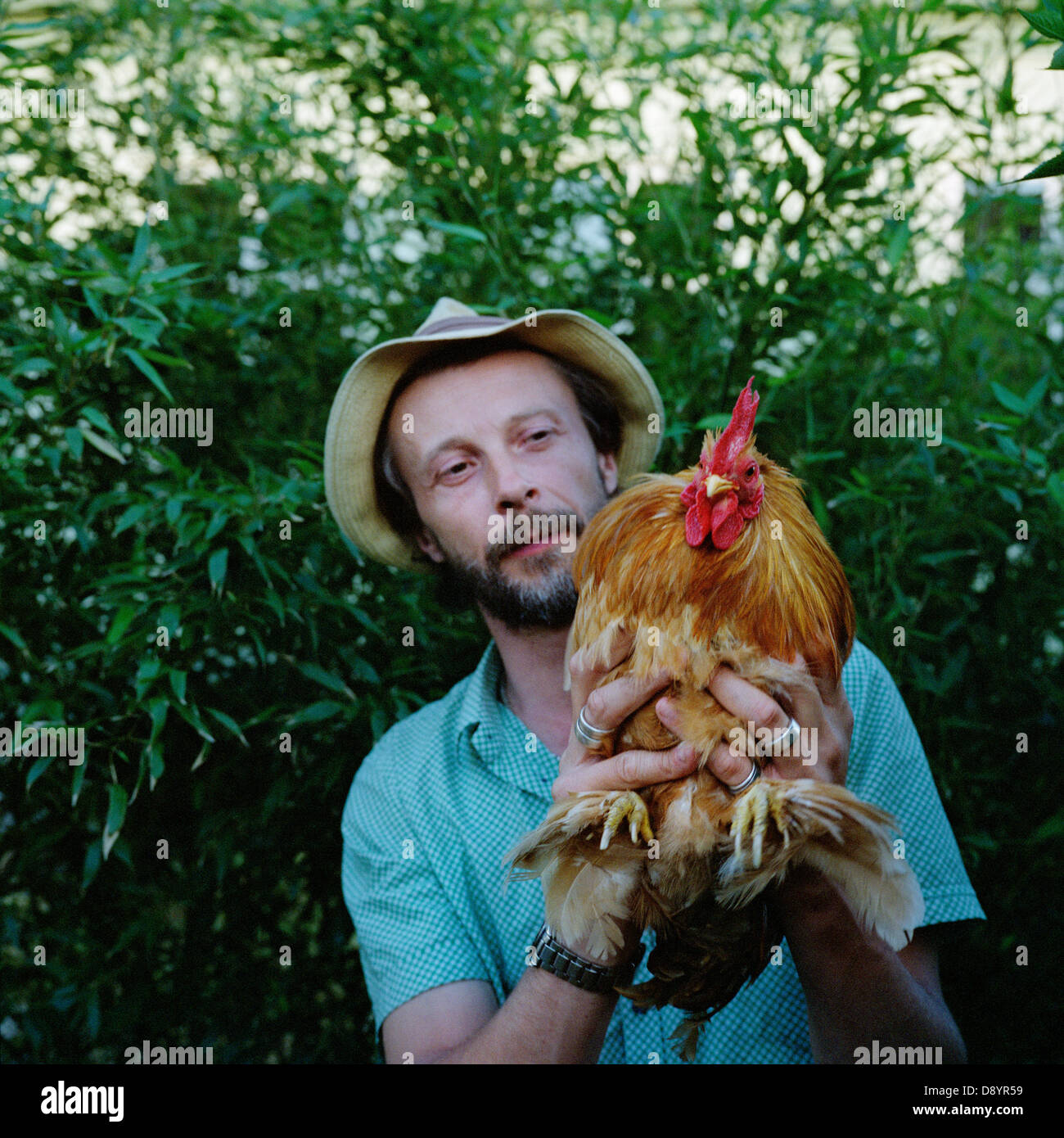 Man holding rooster Stock Photo - Alamy