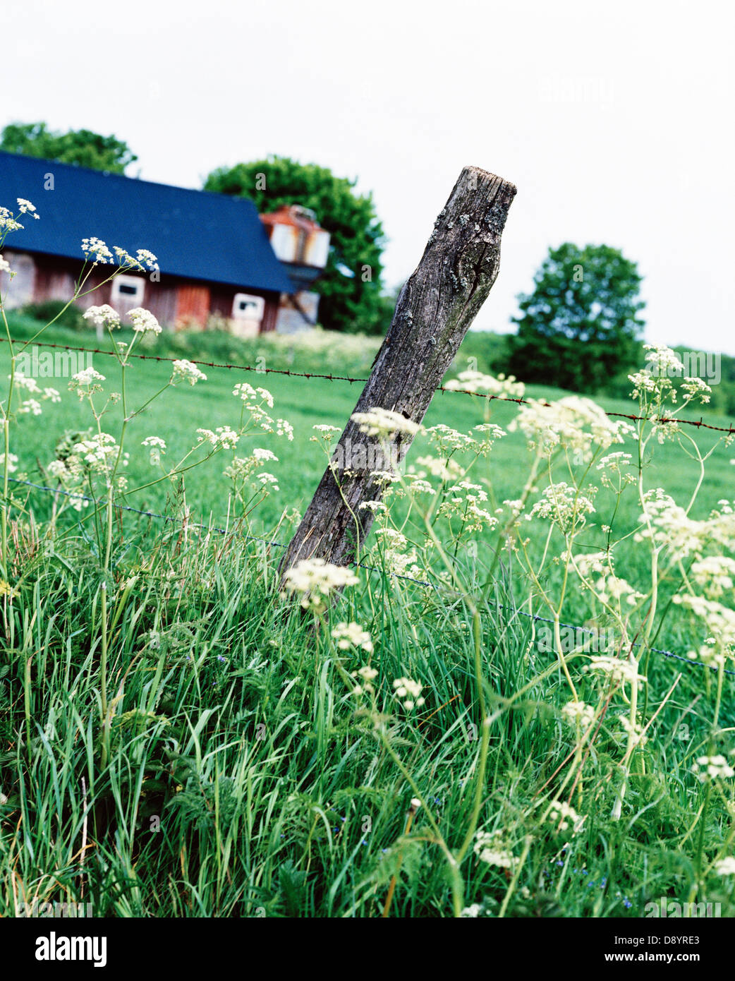A fence by a pasture Stock Photo - Alamy