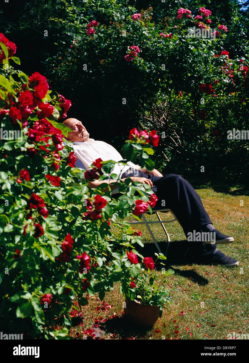 Person resting in a garden hi-res stock photography and images - Alamy