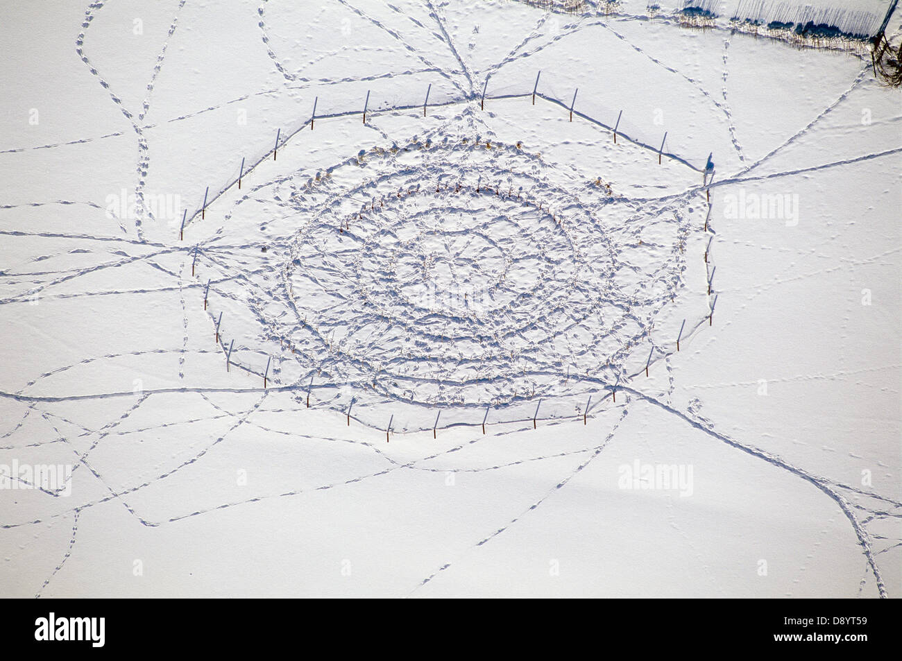 Patterns in snow Stock Photo - Alamy