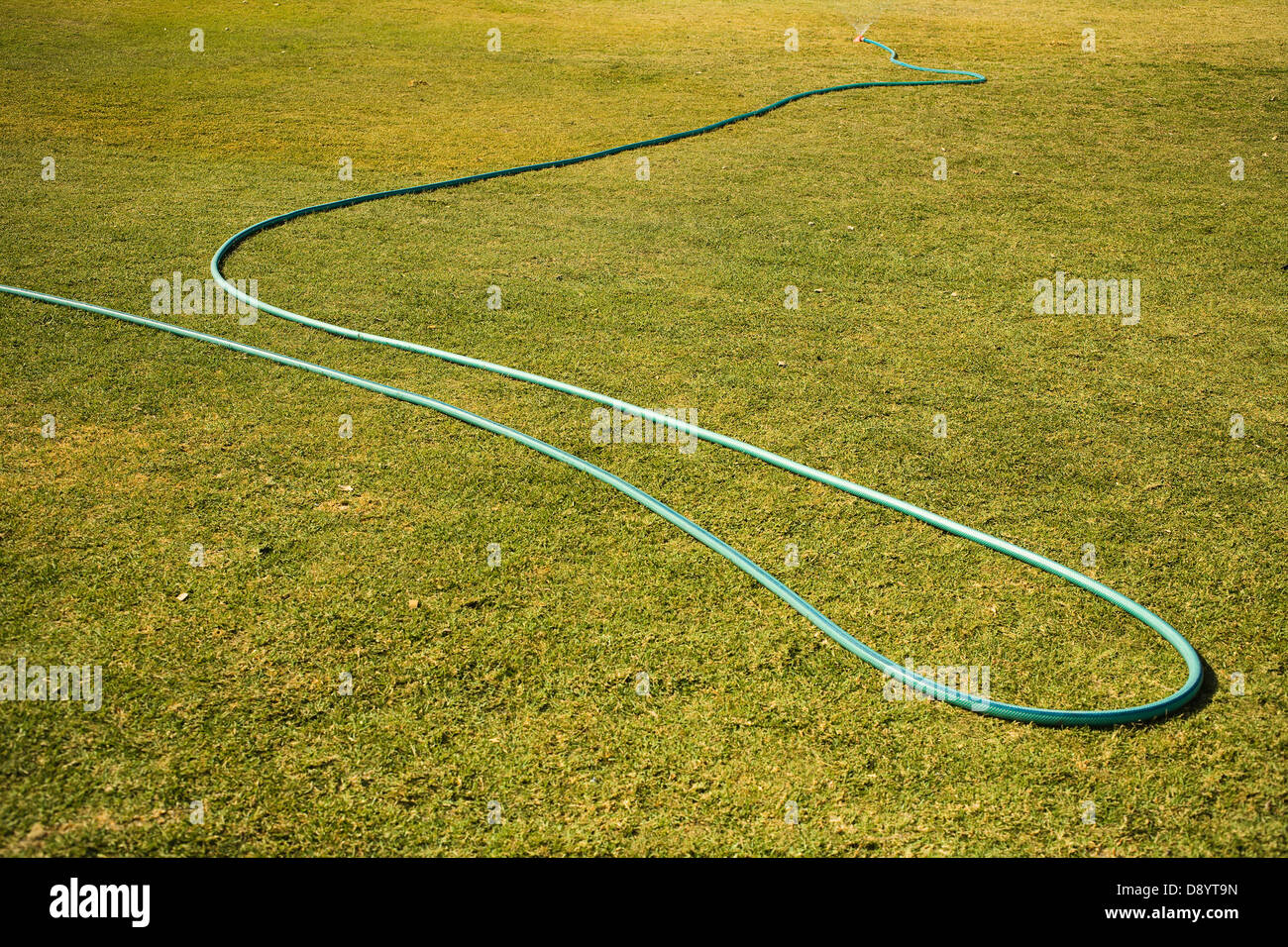 A water hose in the grass Stock Photo - Alamy