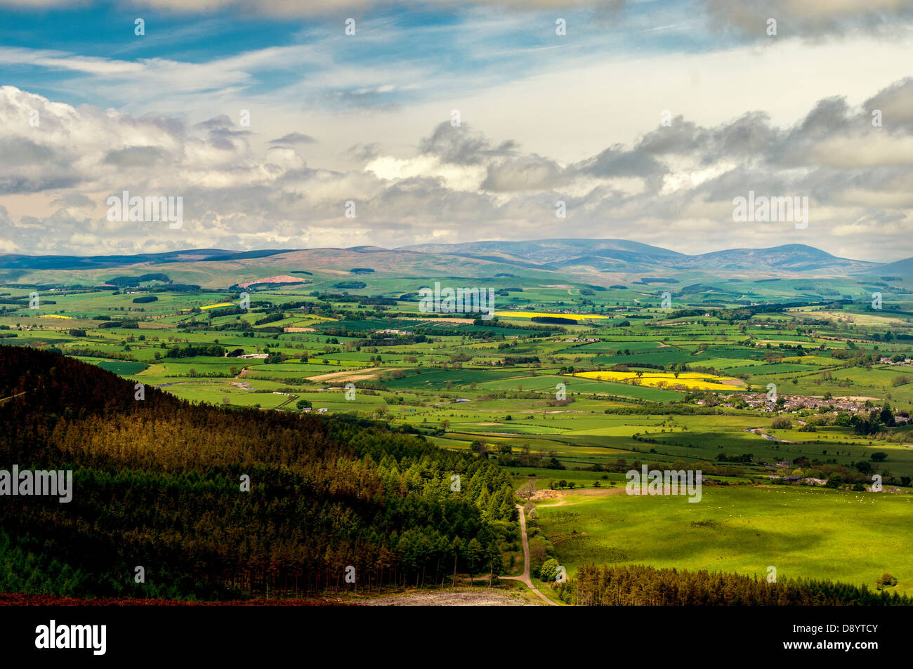 Cheviot hi-res stock photography and images - Alamy