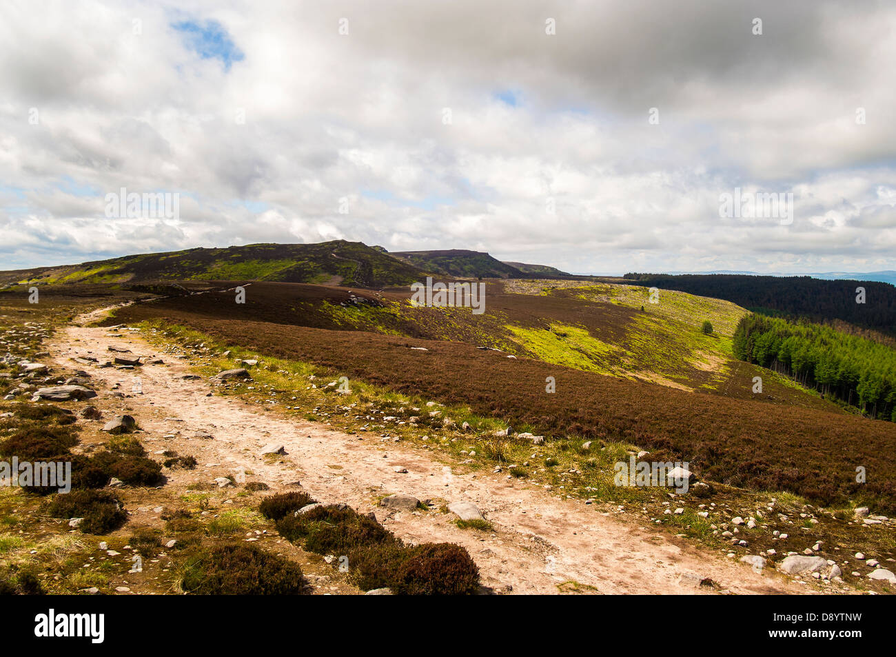Simonside Ridge Walk Stock Photo - Alamy