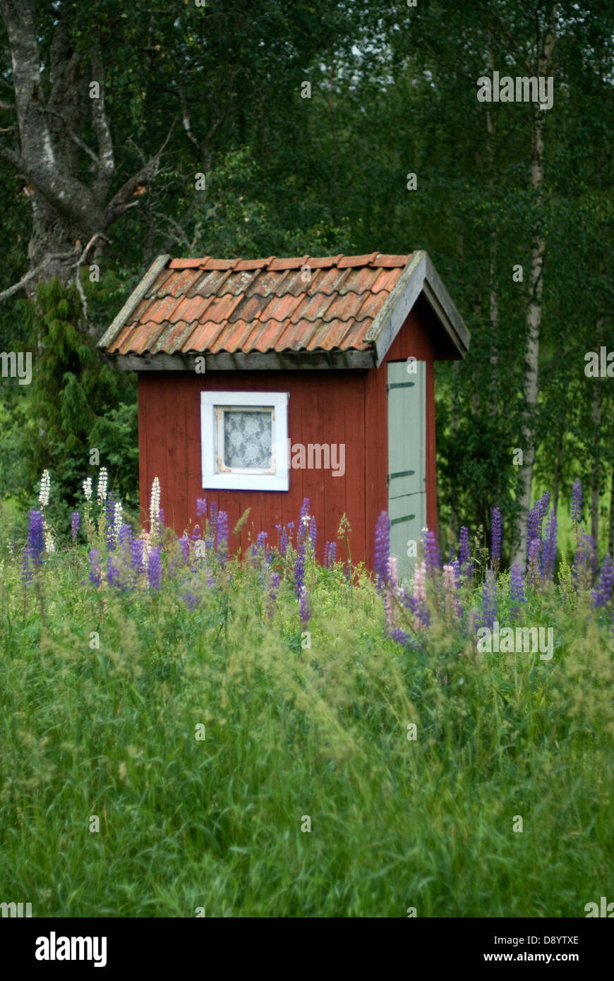 An outside lavatory, Vastmanland, Sweden Stock Photo - Alamy
