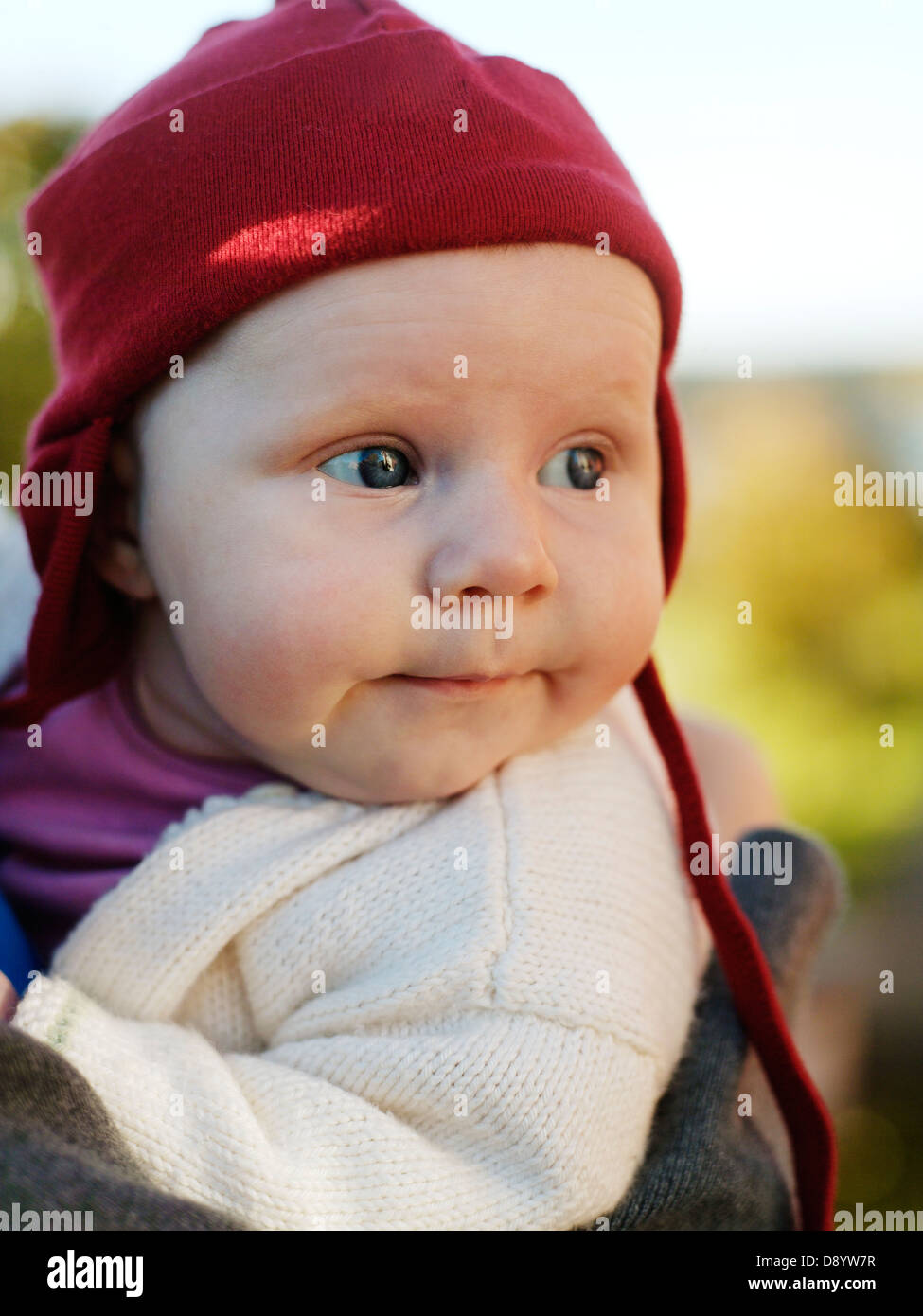 Portrait of a baby, Sweden Stock Photo - Alamy