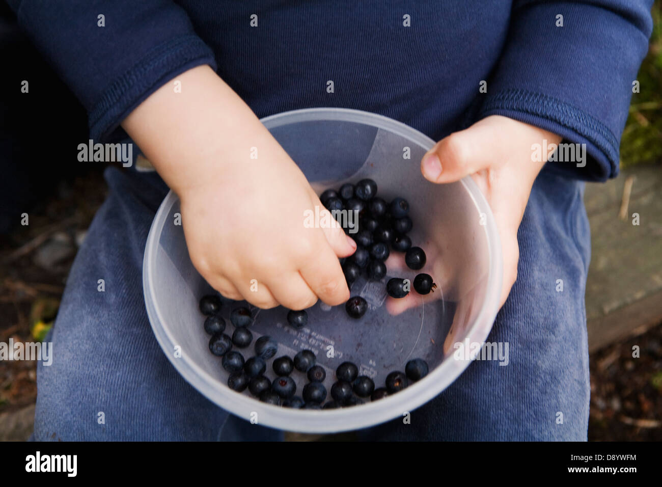 A child with blueberries Stock Photo - Alamy