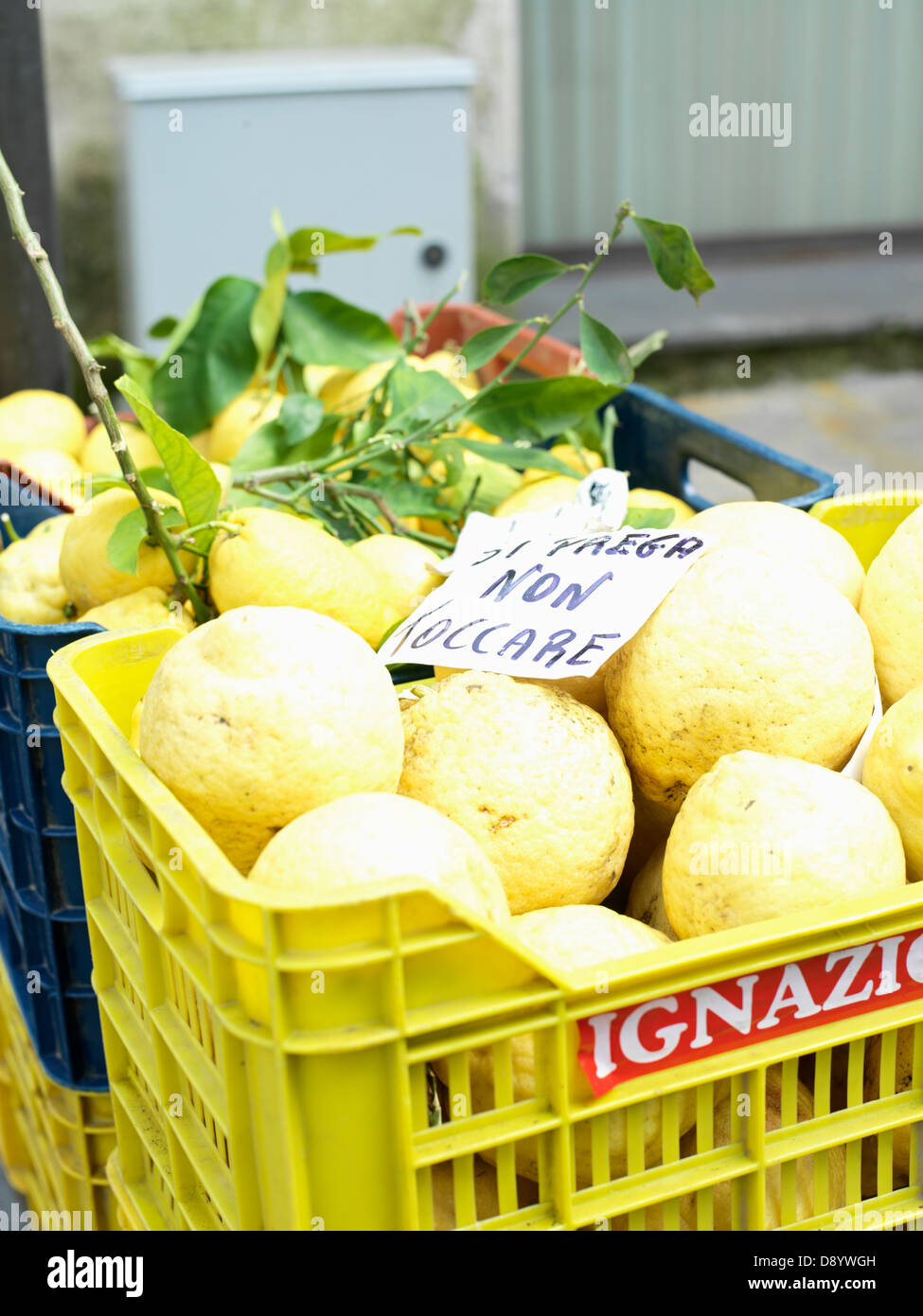 Lemons italy hi-res stock photography and images - Alamy