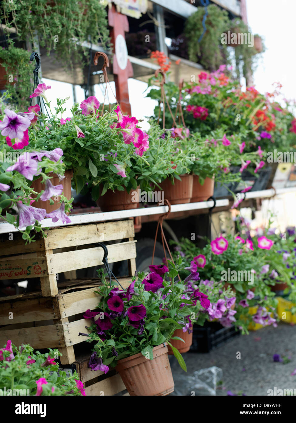 Flower market, Italy Stock Photo - Alamy