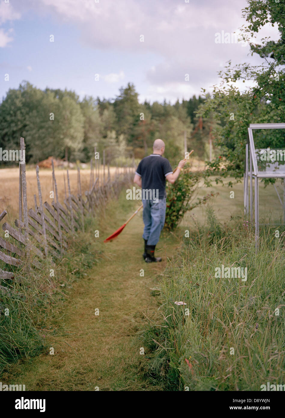 A man raking grass, Sweden Stock Photo - Alamy
