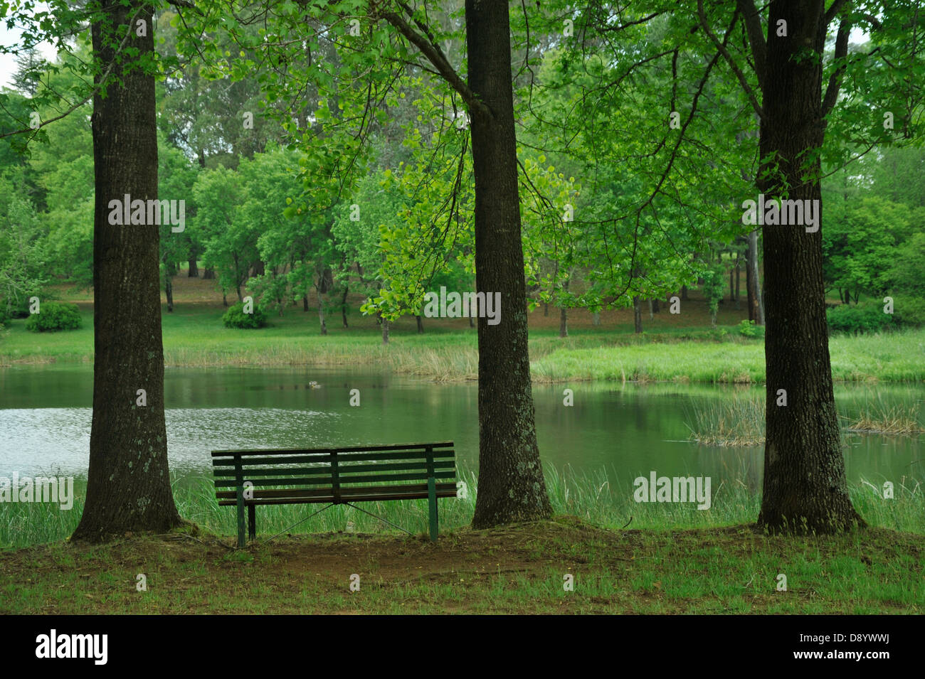 Beautiful garden, minimal peaceful landscape, Kenmo lakes, Himeville ...