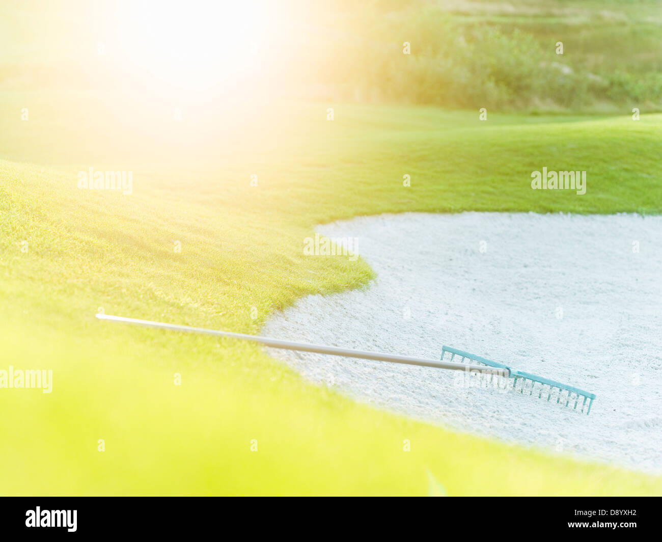 A rake on a golf course Stock Photo - Alamy